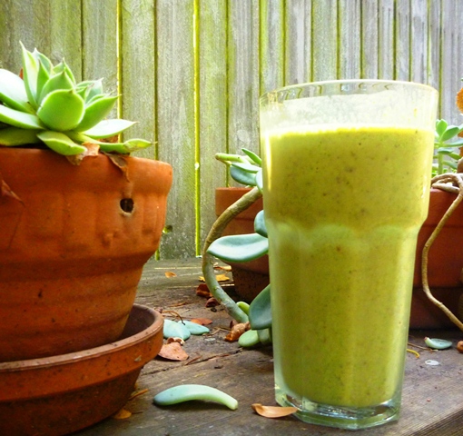 Green Monster Movement » Reader Recipes